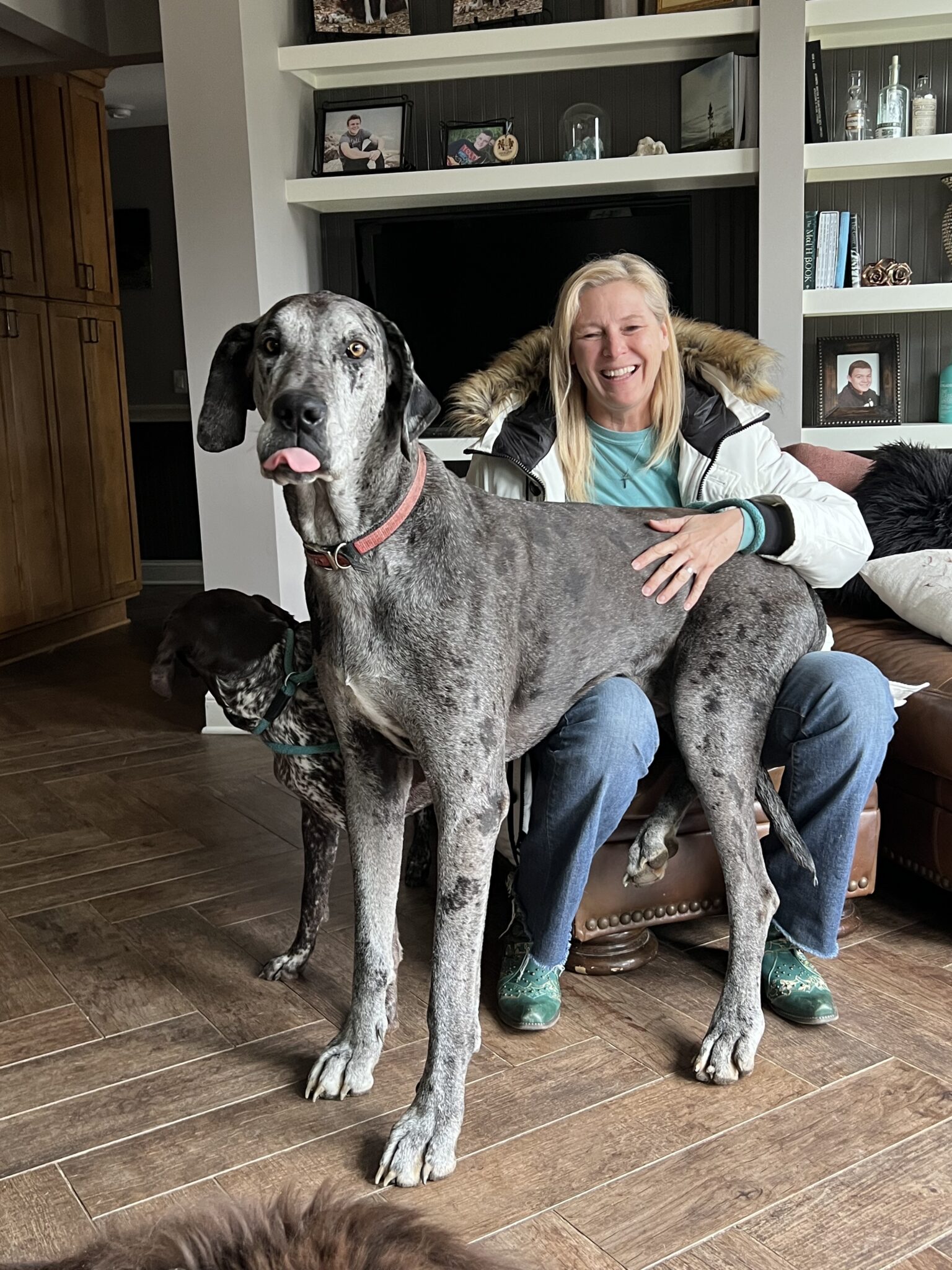 One-on-One Dog Training | In Home or at the Pack Shack