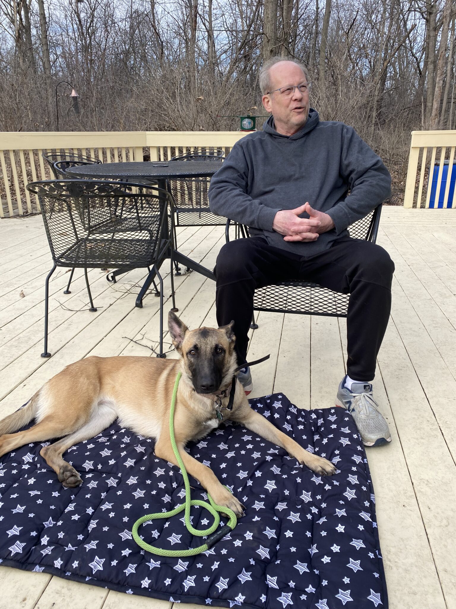 One-on-One Dog Training | In Home or at the Pack Shack