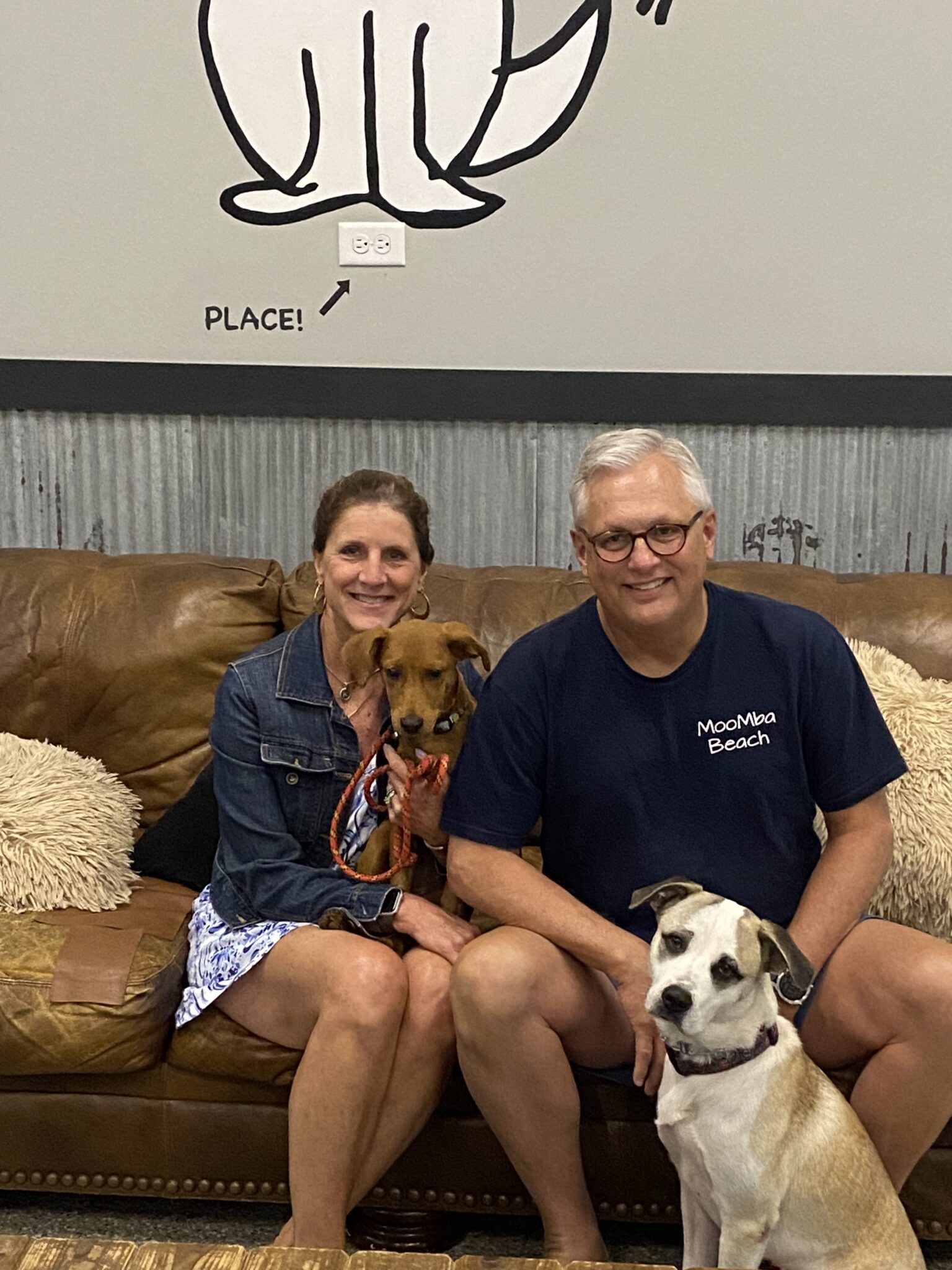 One-on-One Dog Training | In Home or at the Pack Shack